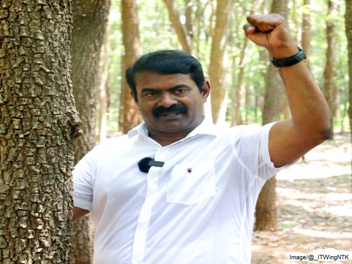 காட்டில் புலிகள் நுழைந்தவுடன் ஒரு அணிலை கூட காணவில்லை: மரங்கள் ...